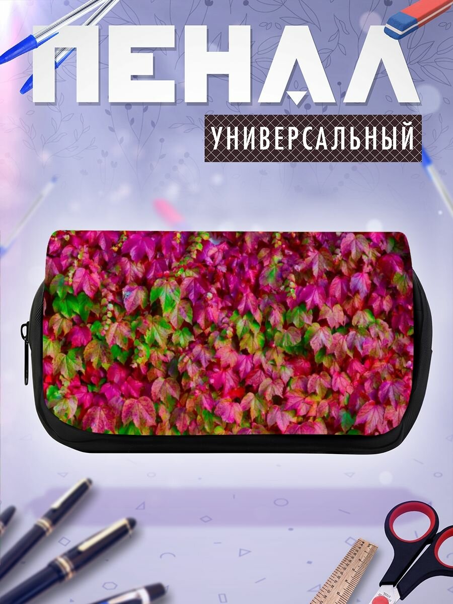 Школьный пенал Бостон плющ лоза