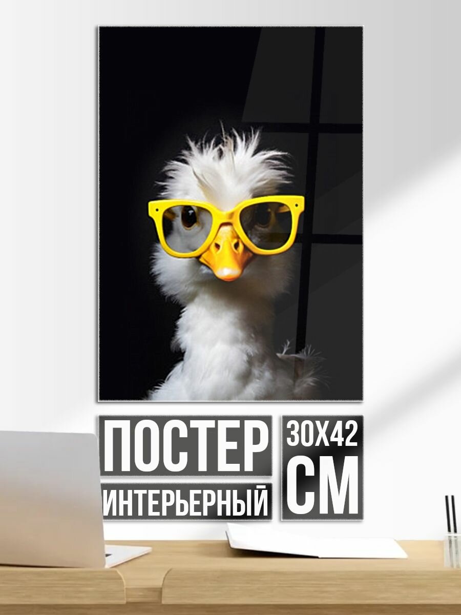 Постер на стену Белый гусь в желтых очках на черном фоне