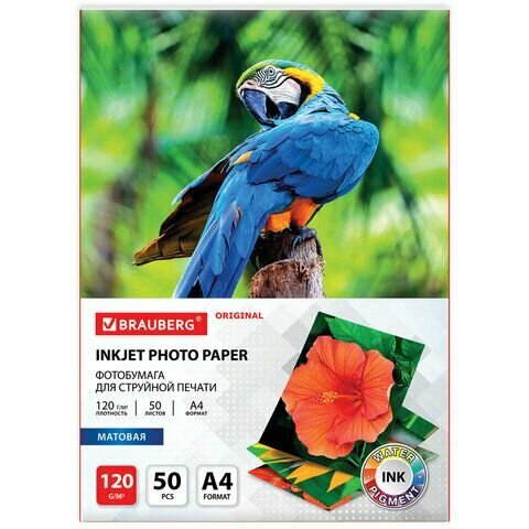 3 шт. Фотобумага матовая, А4, 120 г/м2, односторонняя, 50 листов, BRAUBERG ORIGINAL, 363981