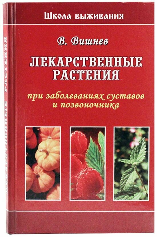 Лекарственные растения при заболеваниях суставов и позвоночника. Вишнев Владимир Николаевич. Благословение