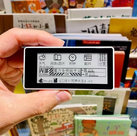 ERIKOLE Электронная книга 2.9", 32 ГБ Black no card