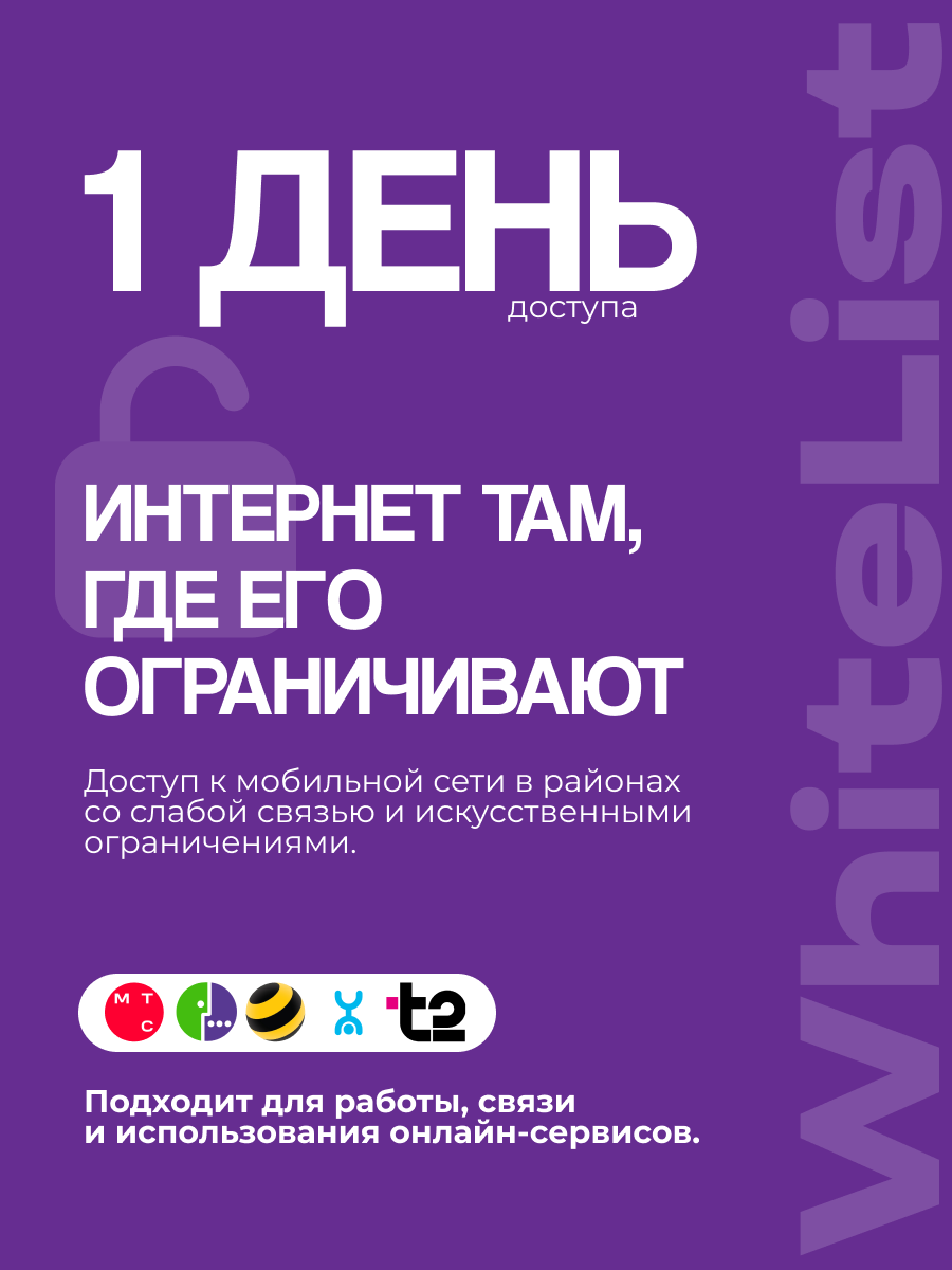 Цифровой продукт, сетевой доступ, 1 день, 1 аккаунт, электронный ключ