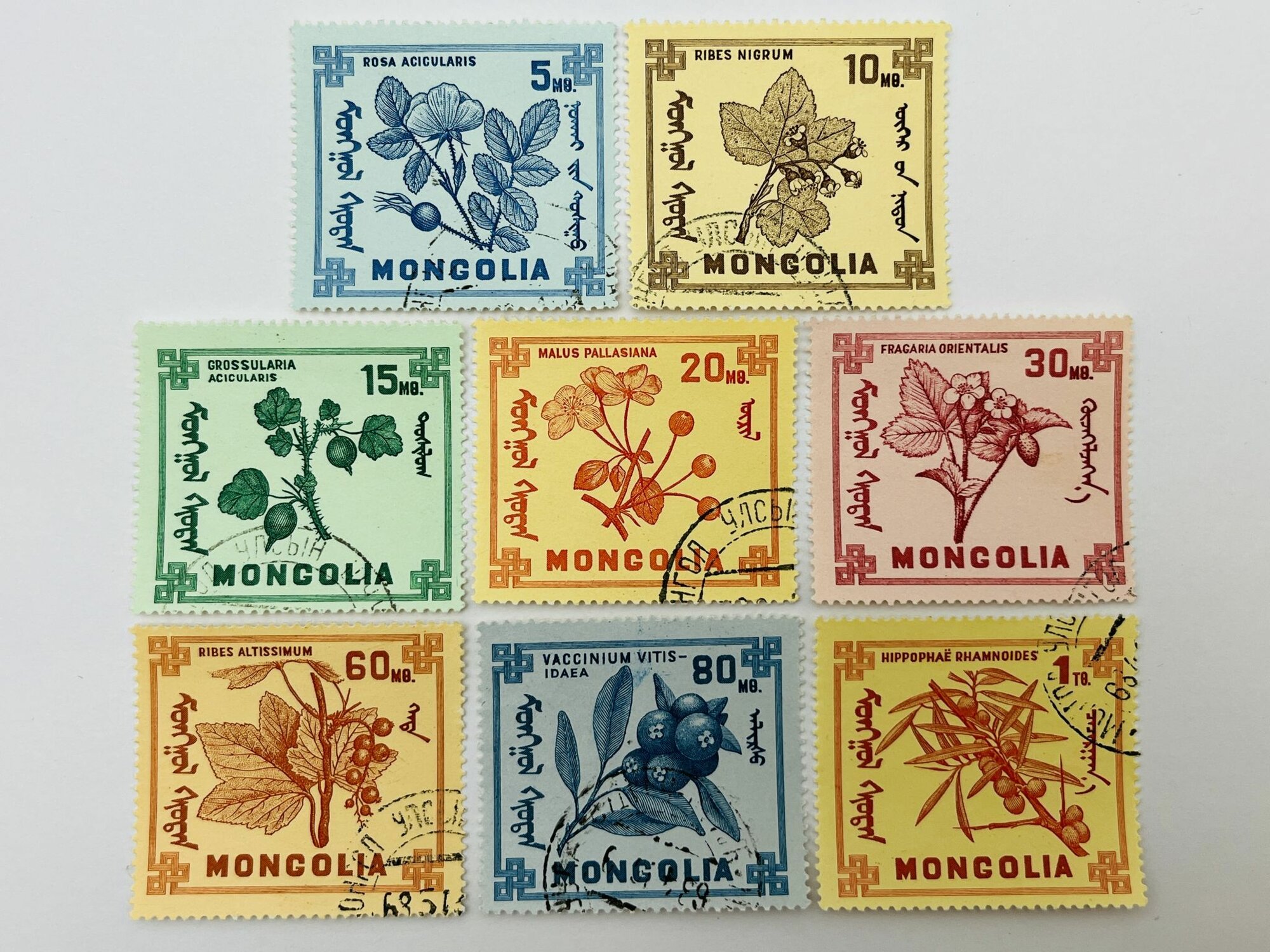 Монгольские ягоды: Полная серия. Флора. Монголия. 1968. Михель: MN 490-497. Гашен