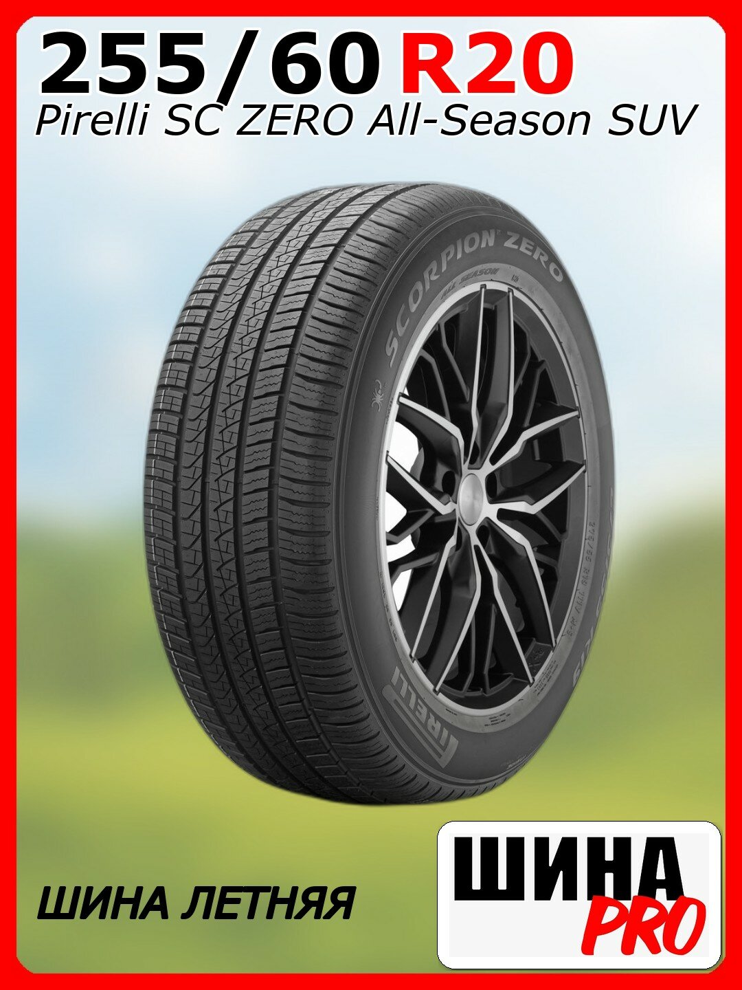 Шина летняя 255/60/20 V 113 SCORPION ZERO All-Season XL (LR) для легковых автомобилей 3746200