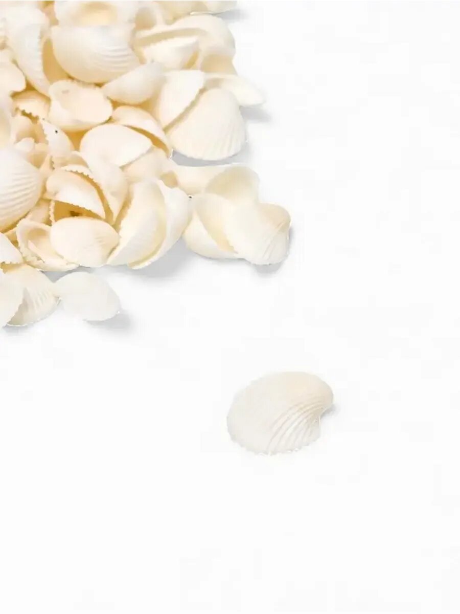 Декоративные ракушки для декора и творчества