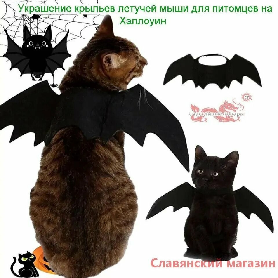 Одежда для животных