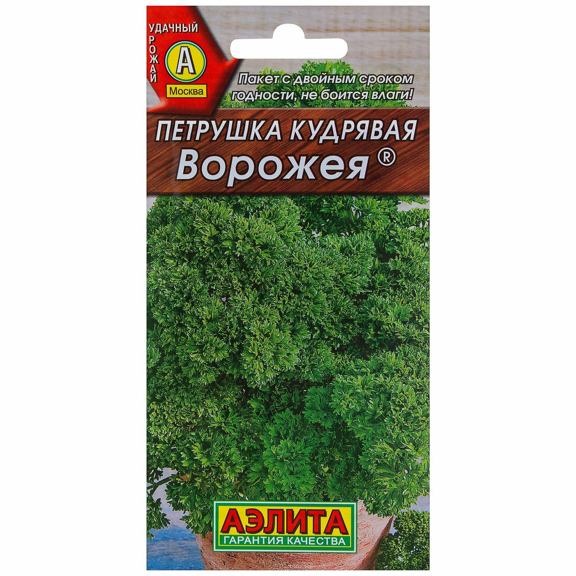 Семена Петрушка «Ворожея», для дачи, сада, огорода и на рассаду