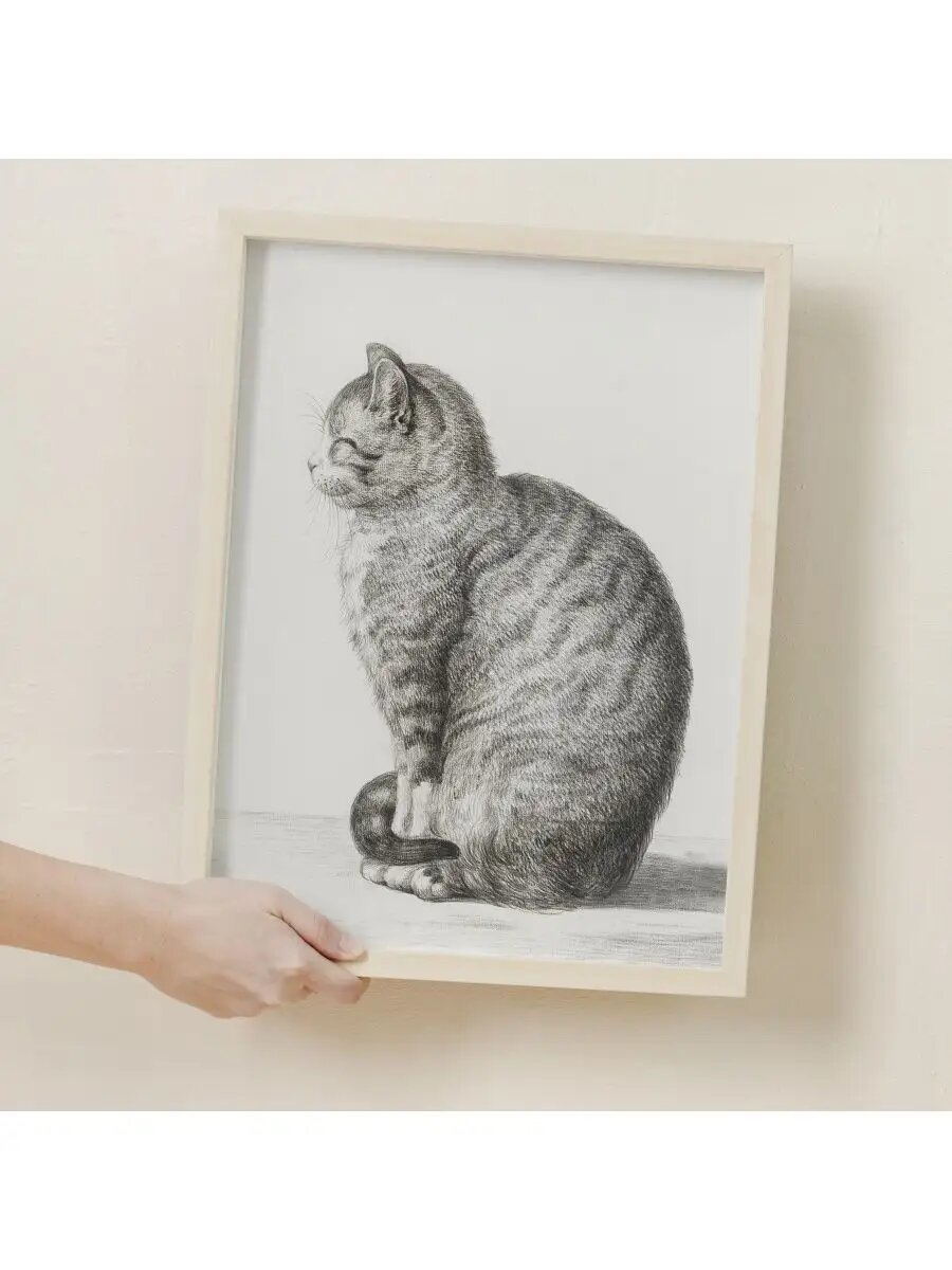 Постер кот котик рисунок карандашом ретро постер, 30 x 40 см (без полей), бумага, без рамы