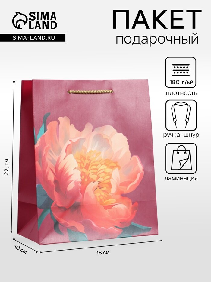 Пакет подарочный ламинированный «Пион», бордовый, 18×22.3×10 см