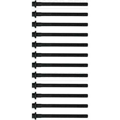 Комплект болтов ГБЦ VICTOR REINZ 14-32152-02 Volvo 850, C30, C70, S40, S60, V70, S80, Xc60, Xc90 2.0, 2.3, 2.5 91->, 12 шт