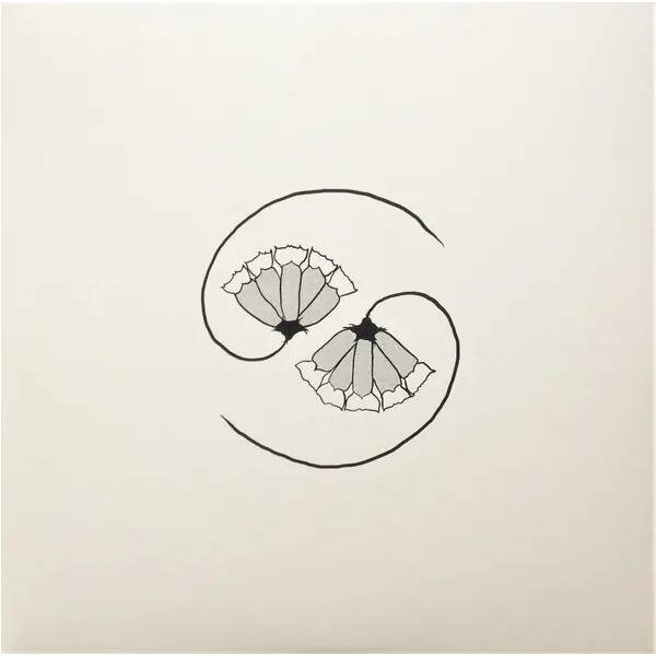 Виниловая пластинка GODSPEED YOU BLACK EMPEROR! - G_D'S PEE AT STATE'S END! (LP, 180 GR + EP)