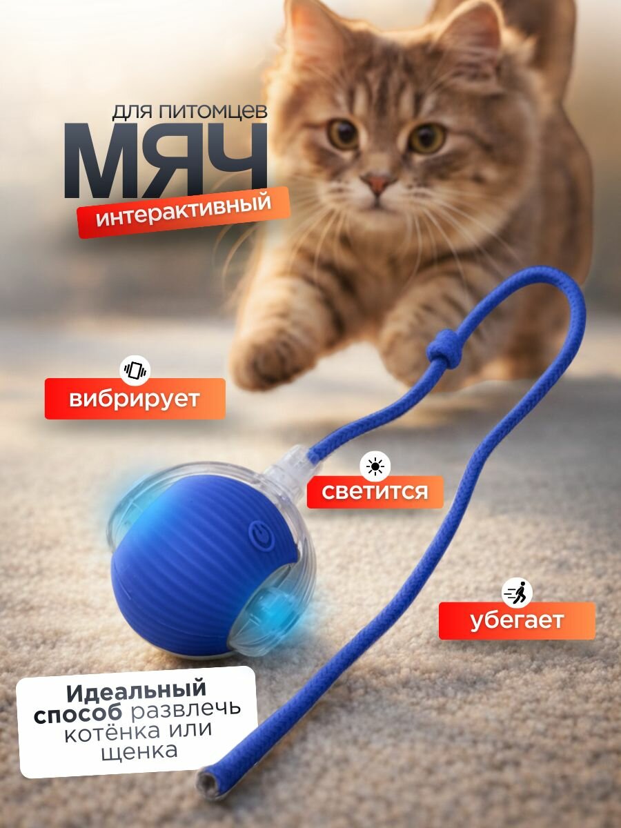 Игрушка для кошек интерактивная /умный мячик с хвостиком / дразнилка для котят