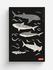 Diving Log Book. Sharks