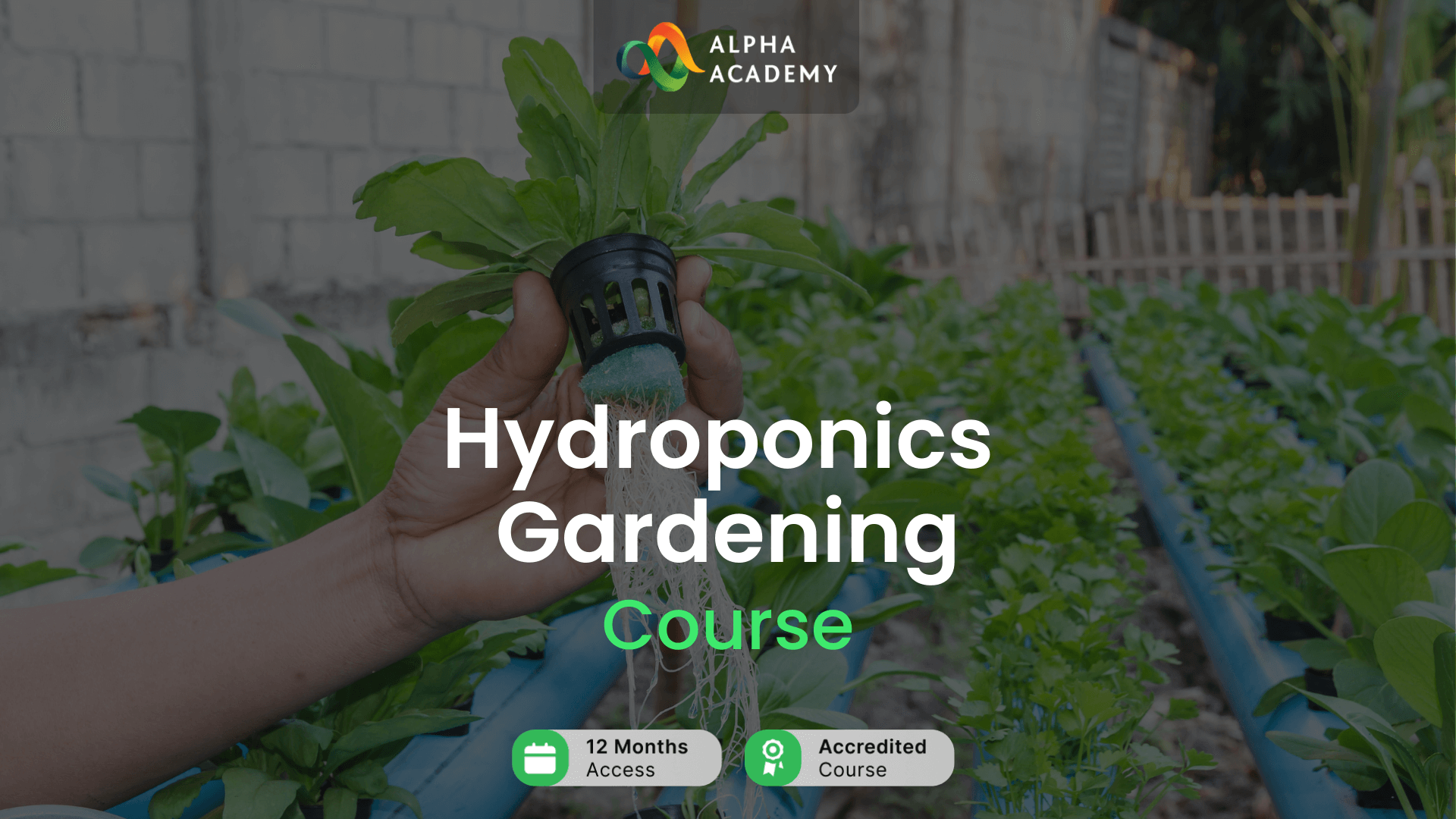 Hydroponics Gardening Online Course Alpha Academy Code | купить цифровой ключ для активации в России