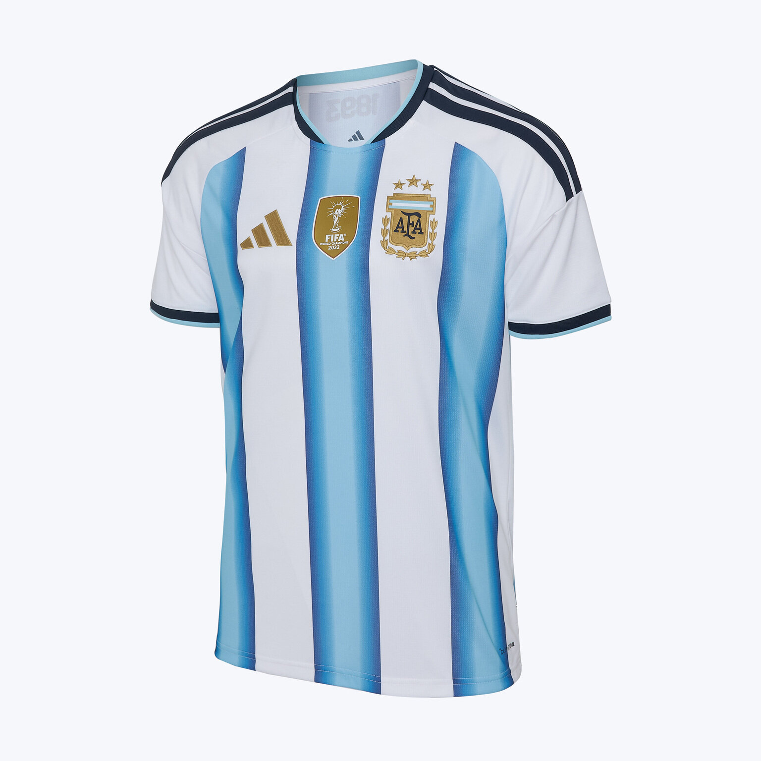 Футболка спортивная сборная Аргентины