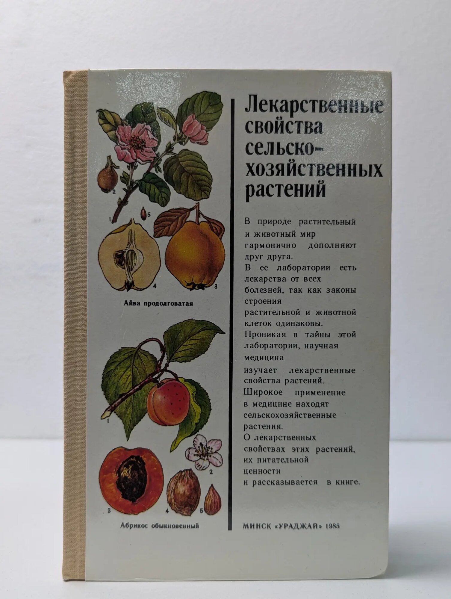Лекарственные свойства сельскохозяйственных растений Борисов М. И, Соколов С. Я. (ред.) 1985