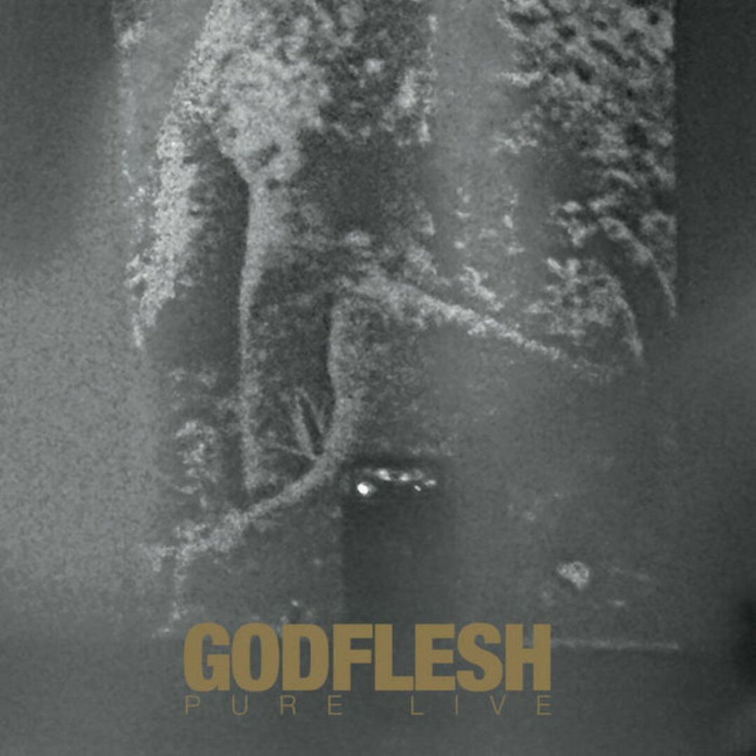GODFLESH Pure Live (2LP)