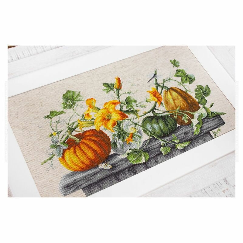 14CT Набор для вышивания иглой Craft Craft Counting Cross Stitch Kit DIY-(293*171)