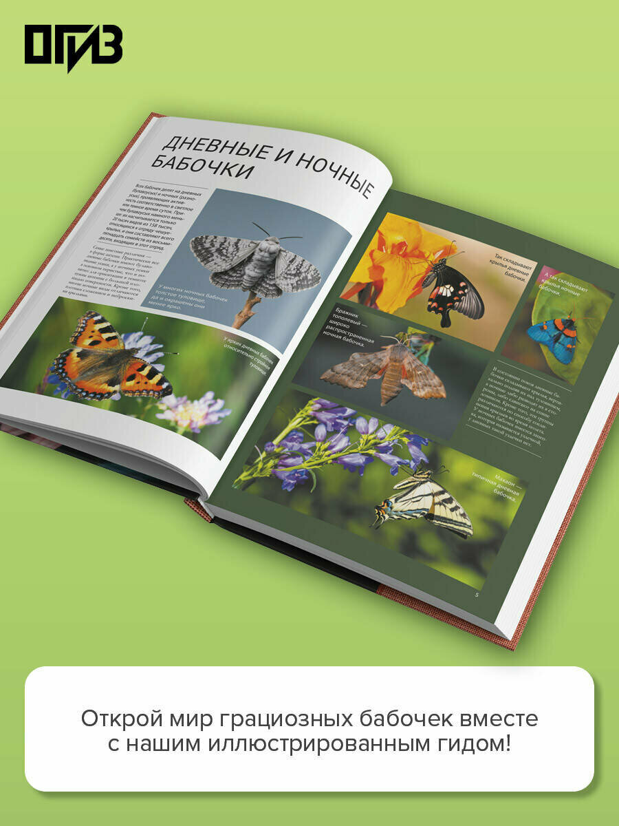 Бабочки Анна Спектор книга от издательства АСТ Коллекционный иллюстрированный гид — фото 1