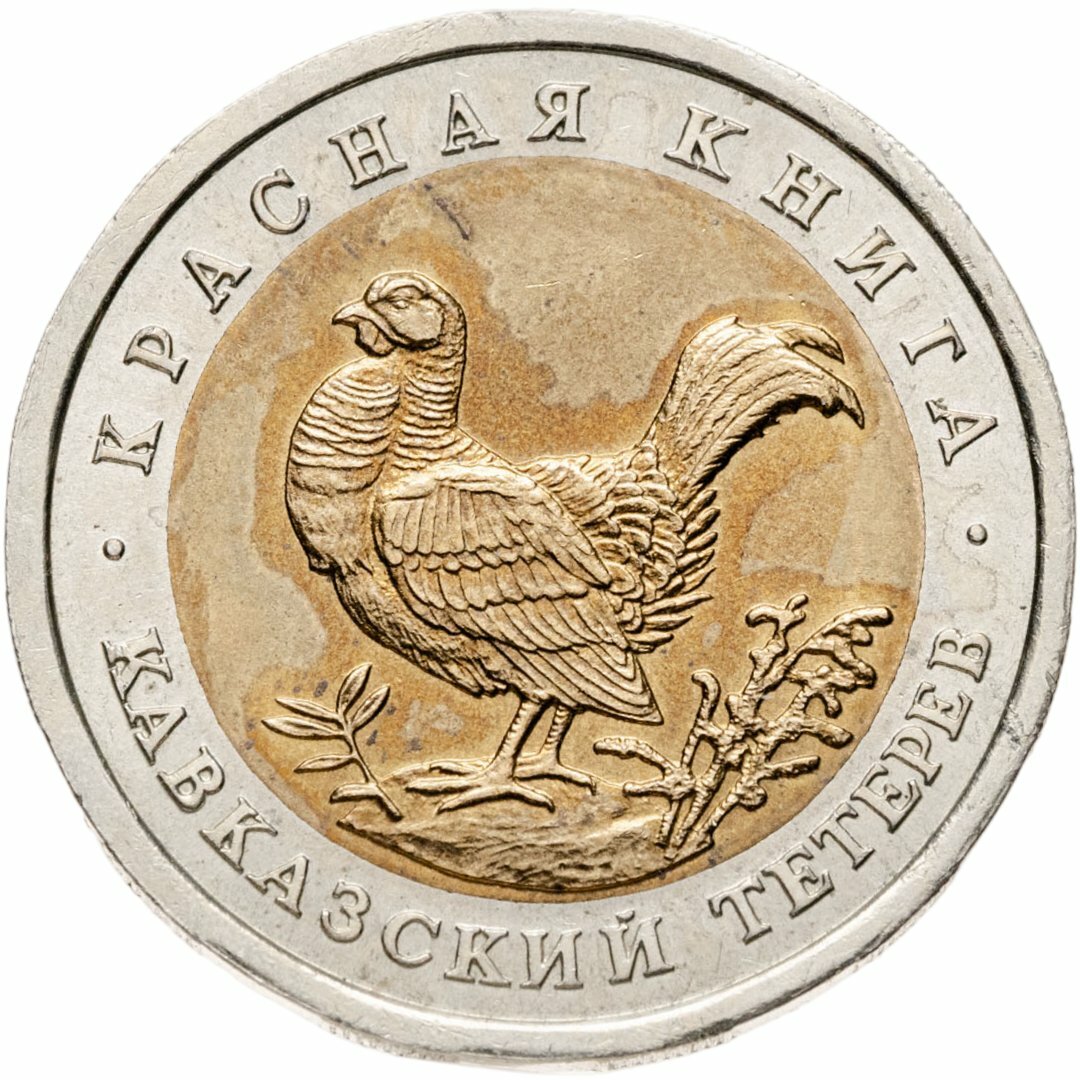 50 рублей 1993 ЛМД "Кавказский тетерев", Биметалл, в сохранности AU