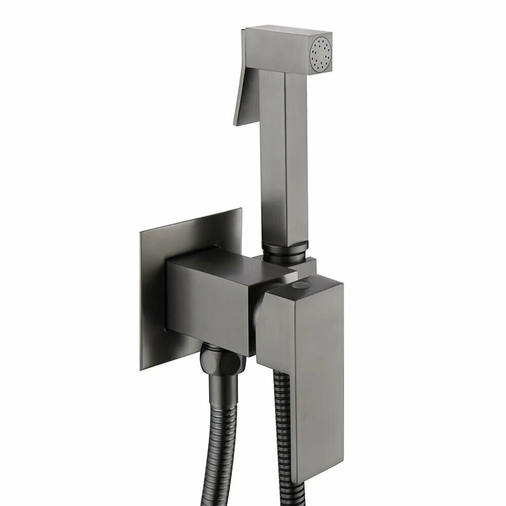 Встраиваемый смеситель для биде с гигиеническим душем, латунь, горячая/холодная вода, серый. E003Q