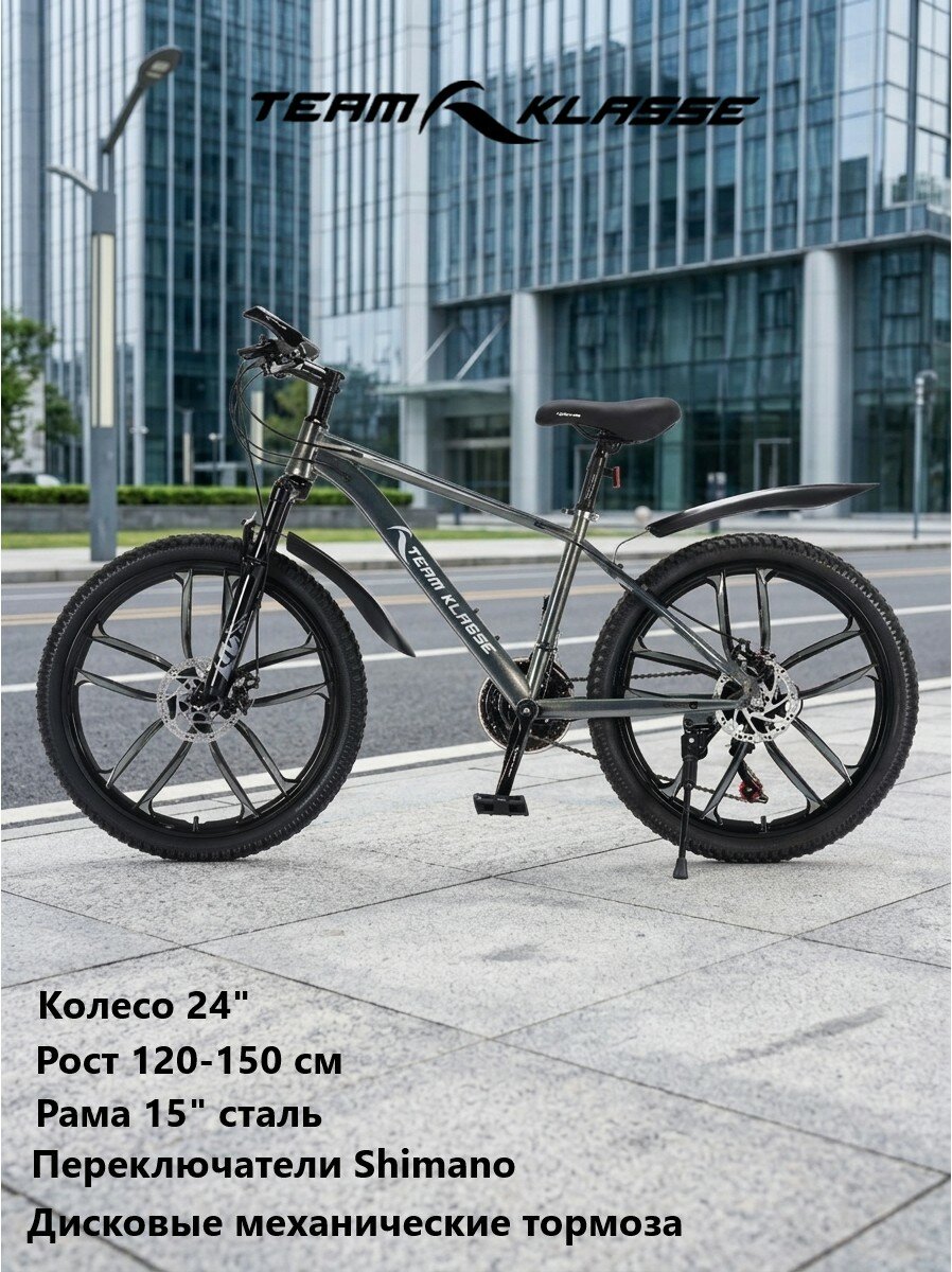Велосипед Team Klasse TB-12-J, стальной, горный, 24 дюйма, 21 скорость, серый