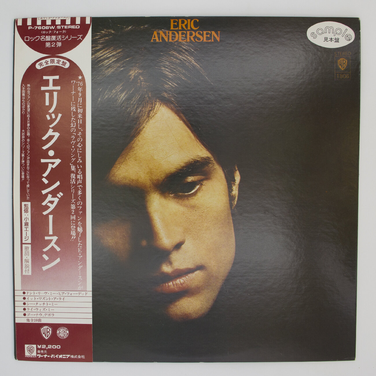 Виниловая пластинка Eric Andersen - Don't Leave Me Here For Dead, 1xLP, NM