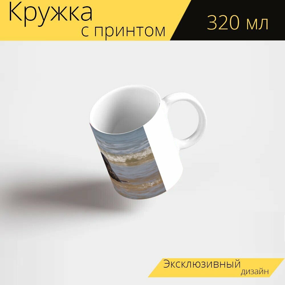 Кружка с рисунком, принтом "Портовая печать, тюлень, морской берег" 320 мл.