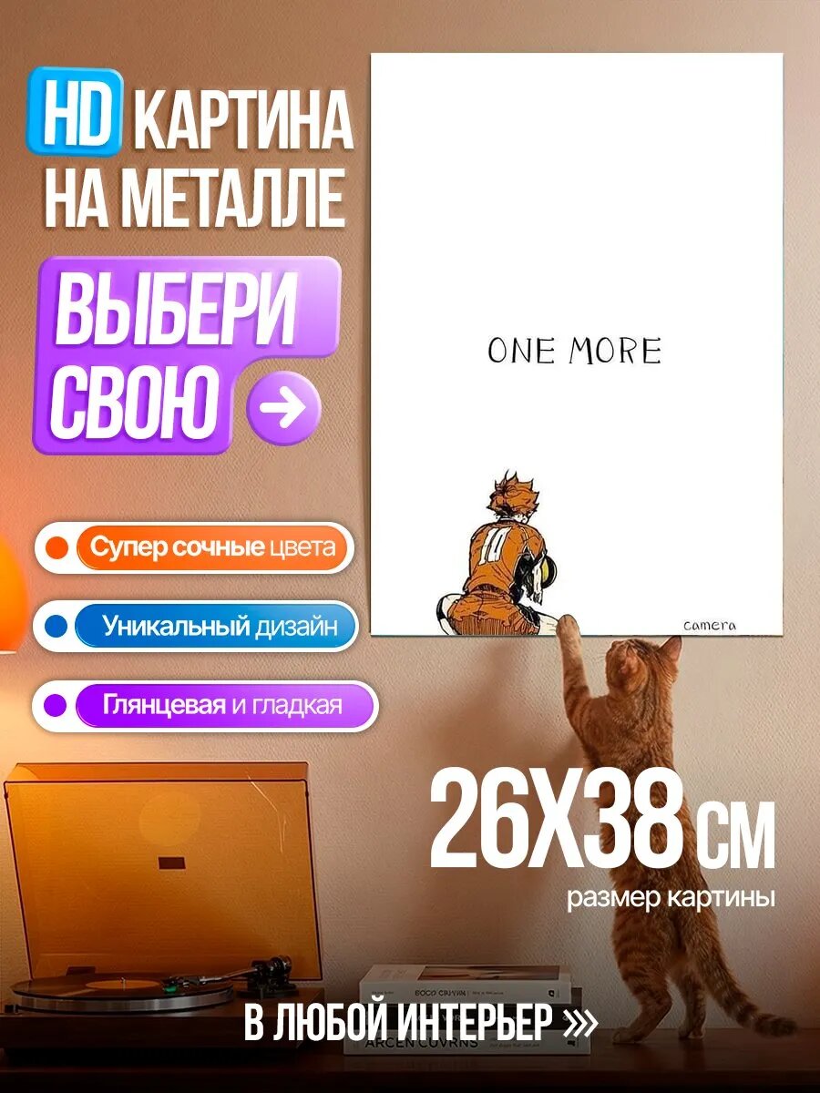 Картина на HD металле Хината Хайкьюу