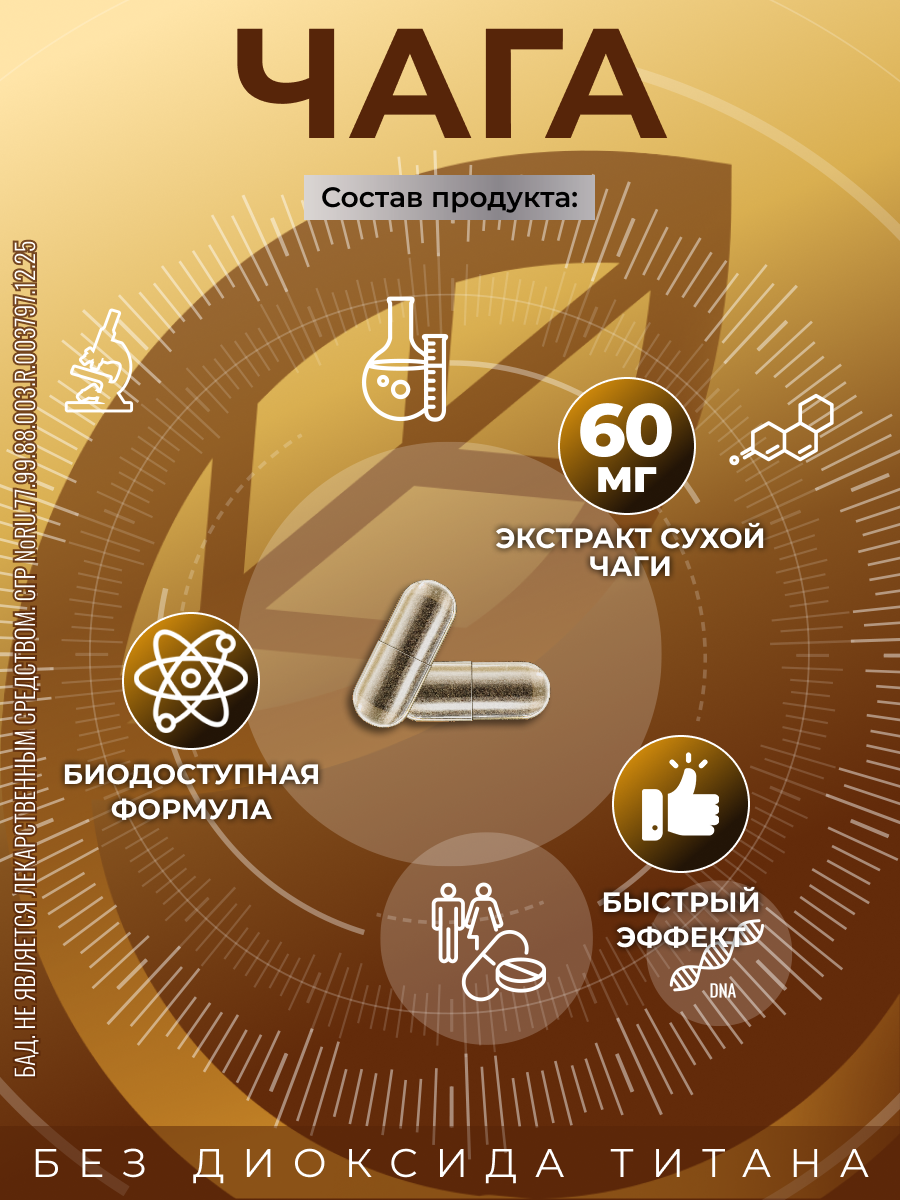 Чага экстракт GraceBioQ / Чага в капсулах для кишечника и детокса / Витамины для ЖКТ, 120 капсул — фото 1