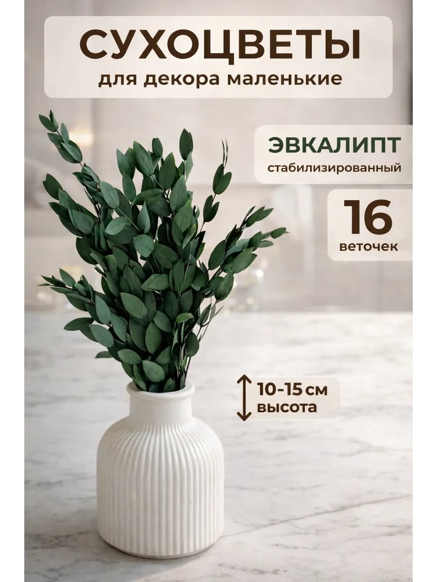 Набор для творчества Sunflowers, стабилизированный эвкалипт, для декора, 16 веточек, высота 10-15см