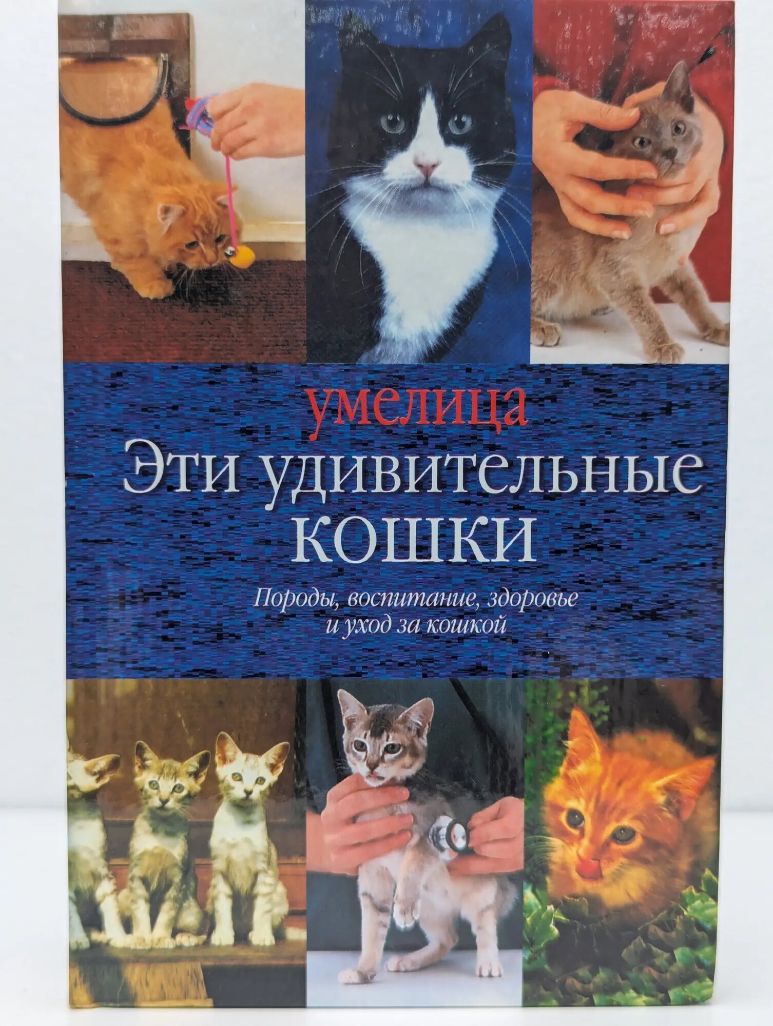 Умелица. Эти удивительные кошки Сборник 2002