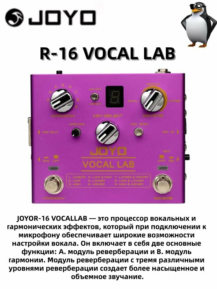 JOYO R-16 VOCAL LAB педаль эффектов для вокала с гармонической реверберацией, аккомпанементом акустической гитары и функцией удаления вокала.