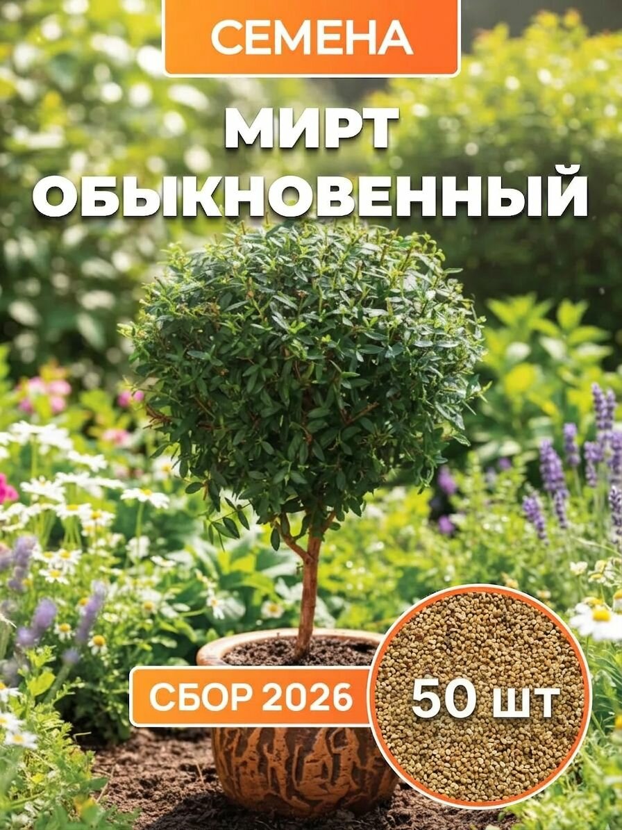 Мирт комнатный (обыкновенный), семена 50 шт
