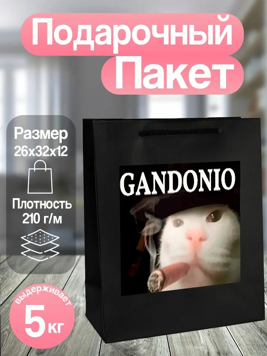 Пакет подарочный мем котики