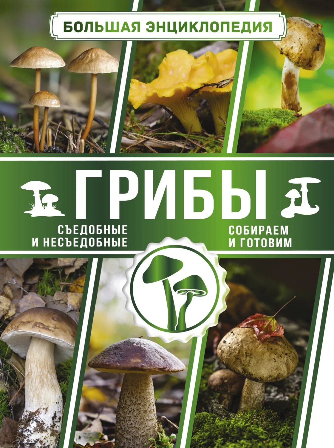 Большая энциклопедия. Грибы. Съедобные и несъедобные. Собираем и готовим. [Цифровая книга]