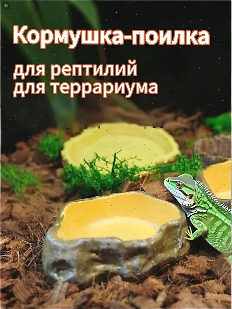 Кормушка-поилка для рептилий для террариума, черепаха, смола 7.5*8*2.5