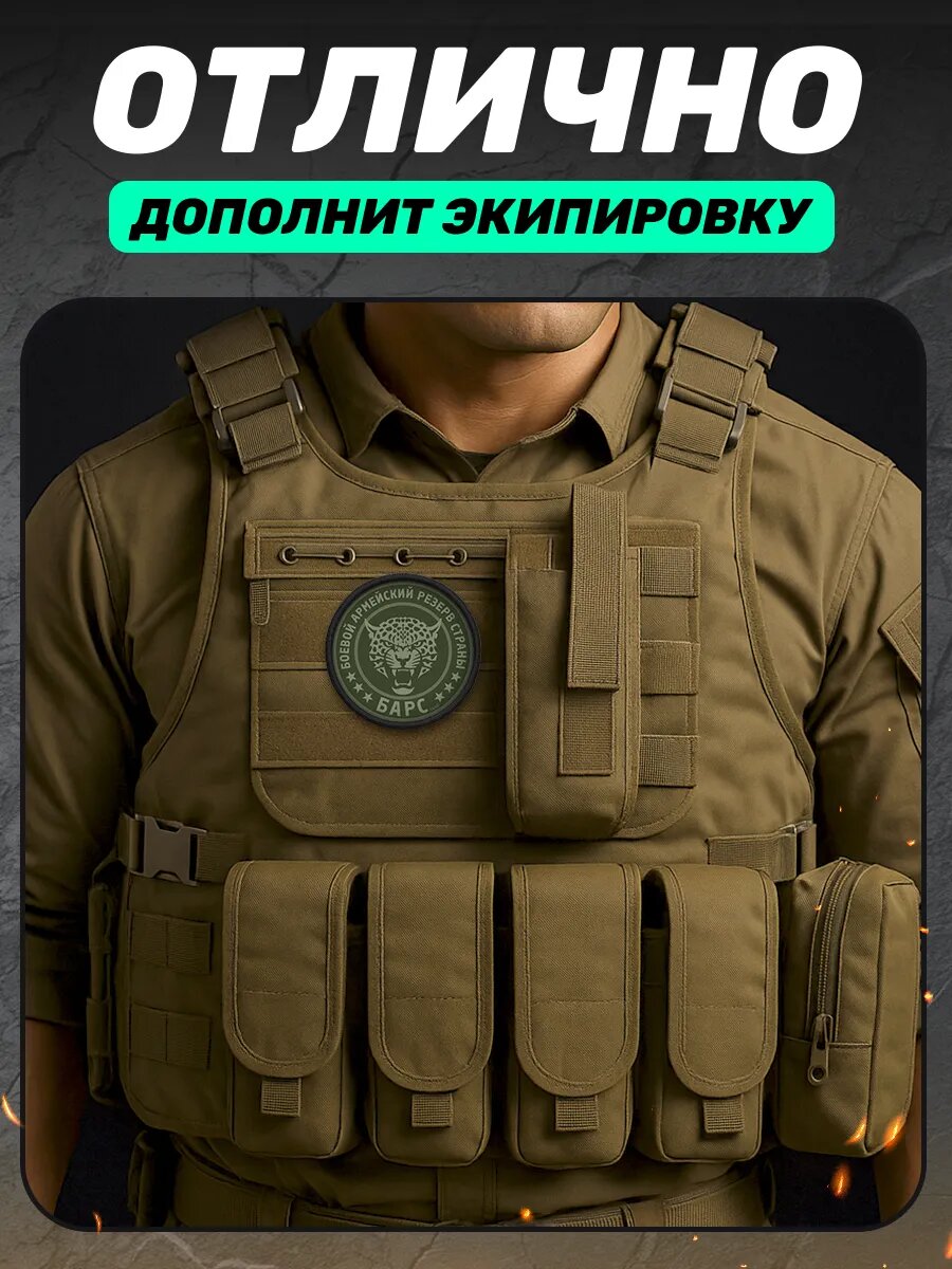 Шеврон на липучке барс — фото 1