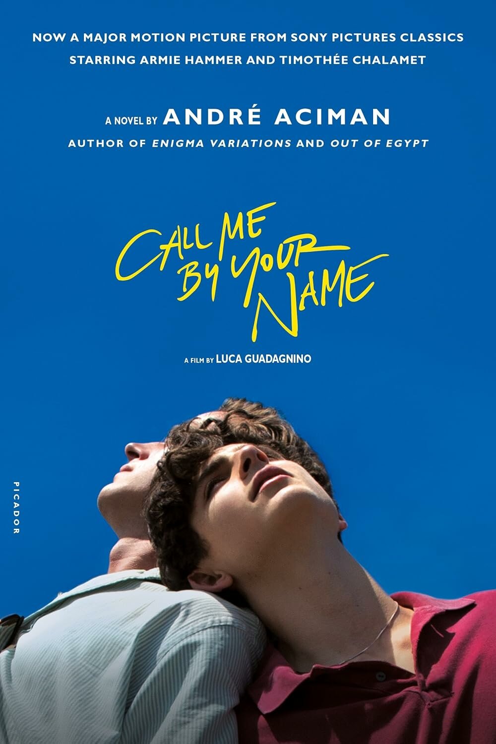Книга Call Me by Your Name, André Aciman, 2008, мягкий переплет, 256 страниц