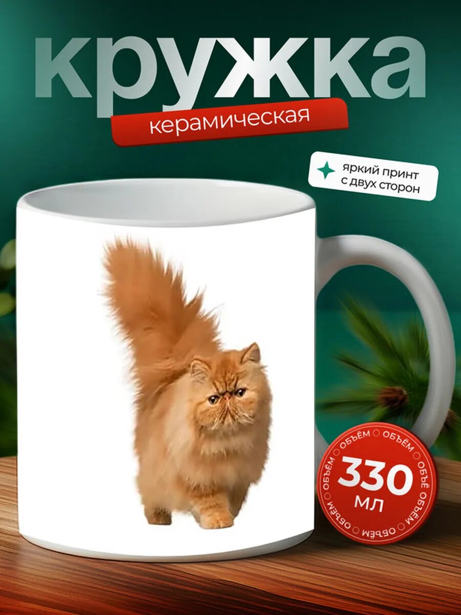 Кружка Бостонский брамин кот 4,