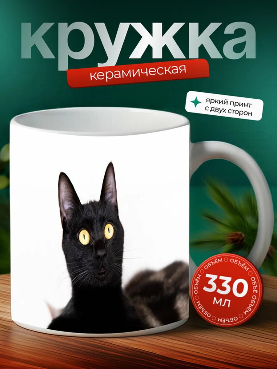Кружка Американский рингтейл короткошерстный кот 38,