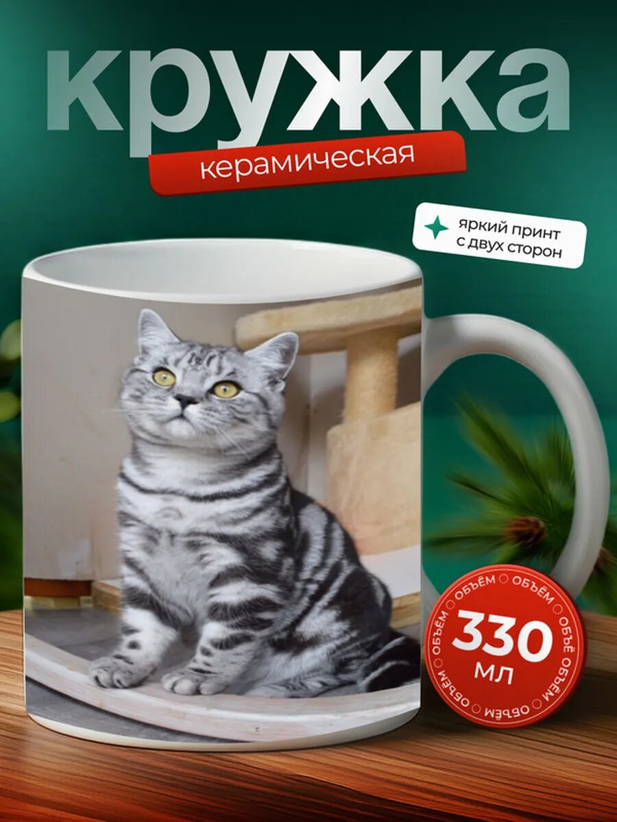 Кружка Британский серебристый кот 7,