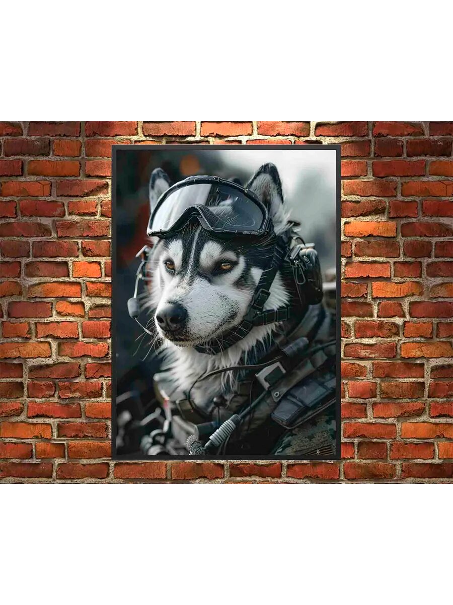 Сибирский хаски-пес-солдат 1, Плакат 30x42см
