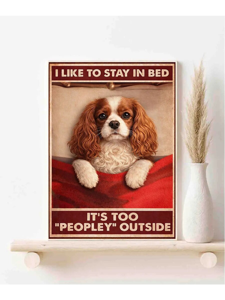Кавалер-кинг-чарльз-спаниель, Stay In Bed, Плакат 30x42см