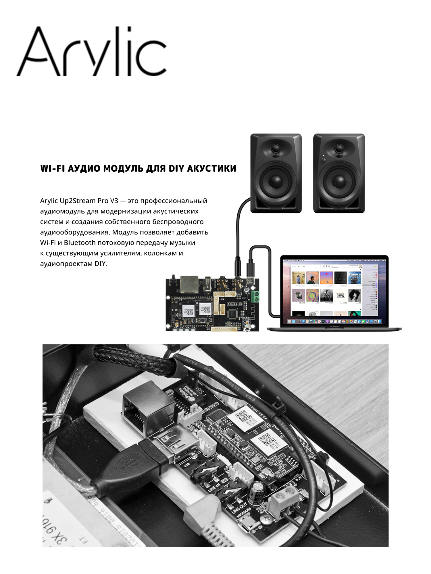 Arylic Pro V3 V4 DIY аудио модуль — фото 1