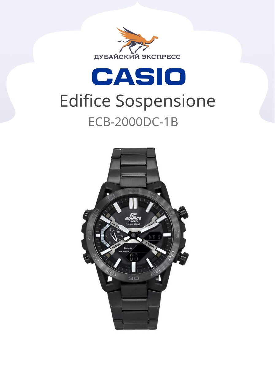  CASIO