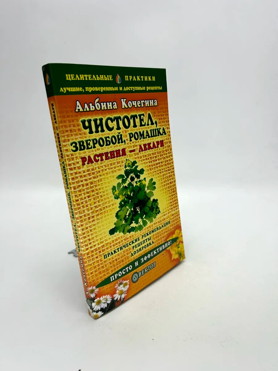 Кочегина Альбина Анатольевна. Чистотел, зверобой, ромашка. Р