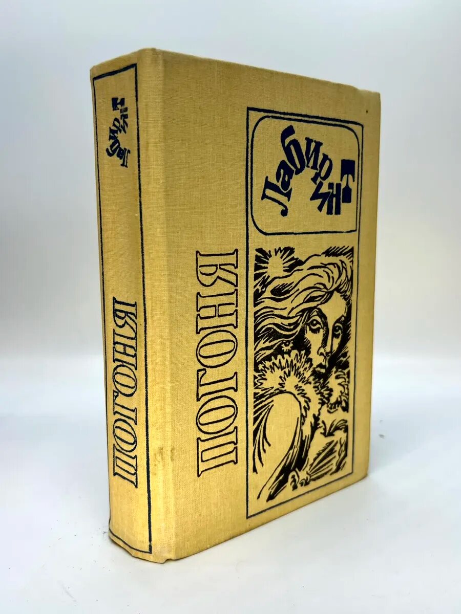 Лабиринт. Погоня. Князев В. Н.