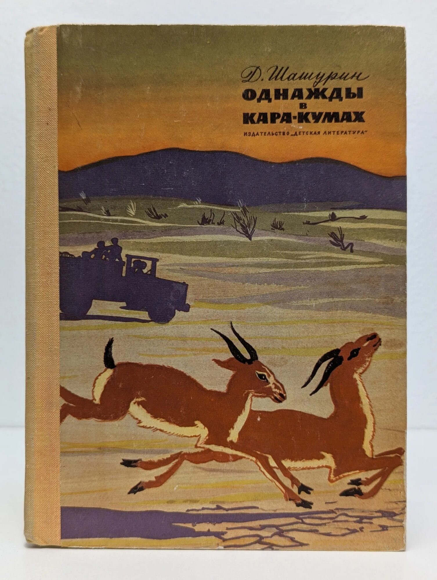 Однажды в Кара-Кумах Шашурин Дмитрий Михайлович 1968