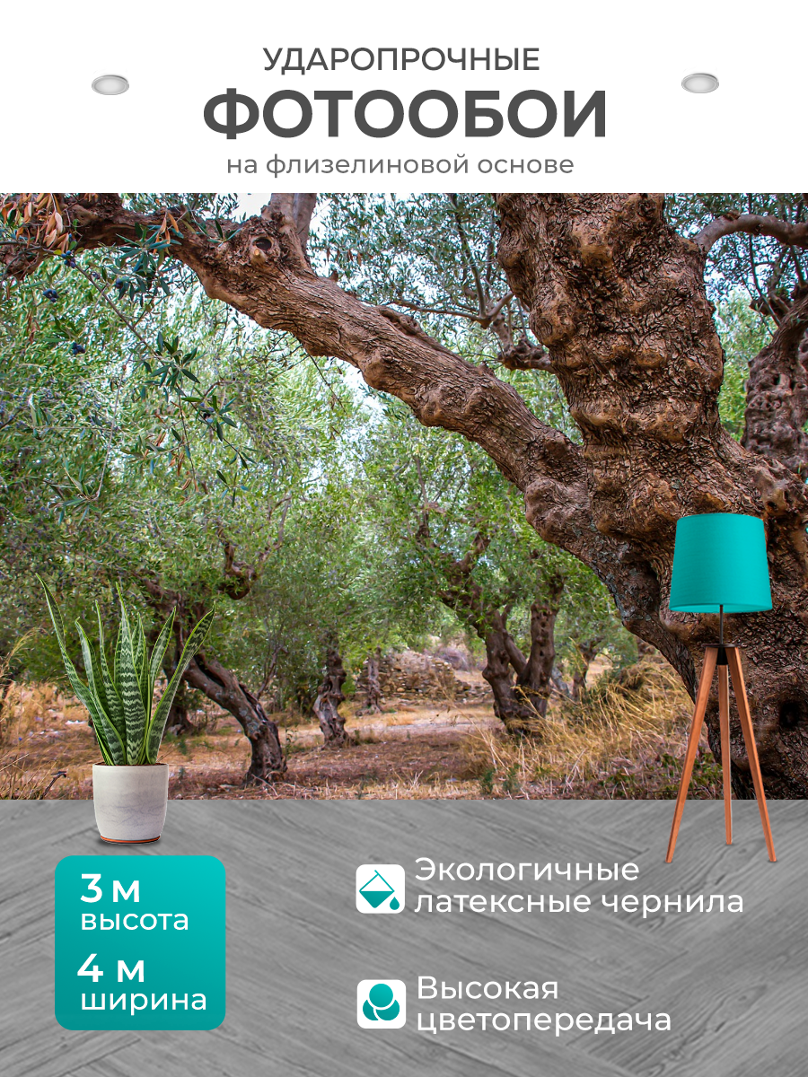 Фотообои моющиеся ударопрочные "Оливковая роща, оливковое дерево, природа" 400x300 см. флизелиновые на стену